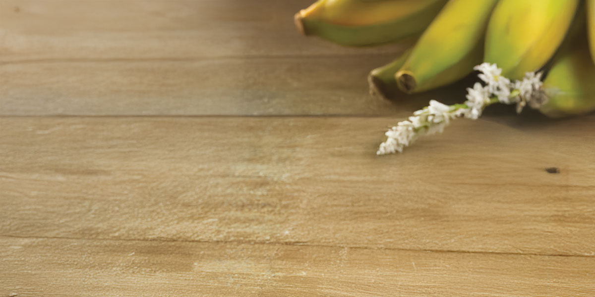 El Sabor de Puerto Rico - El Meson Sandwiches